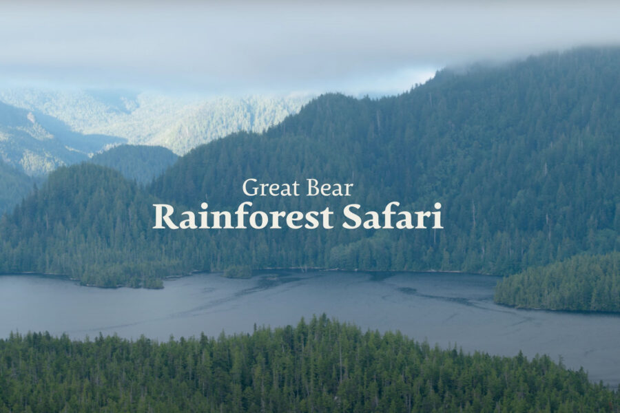 Great Bear Rainforest: The Big Five! - Pacific Yellowfin Charters